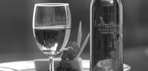 Knowledge – Big Banyan Wines